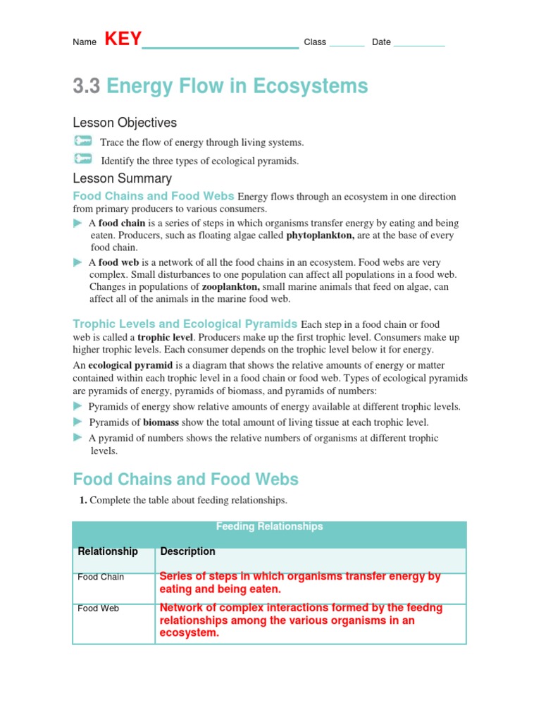 3.3 Worksheet Key | PDF | Food Web | Biomass (Ecology)