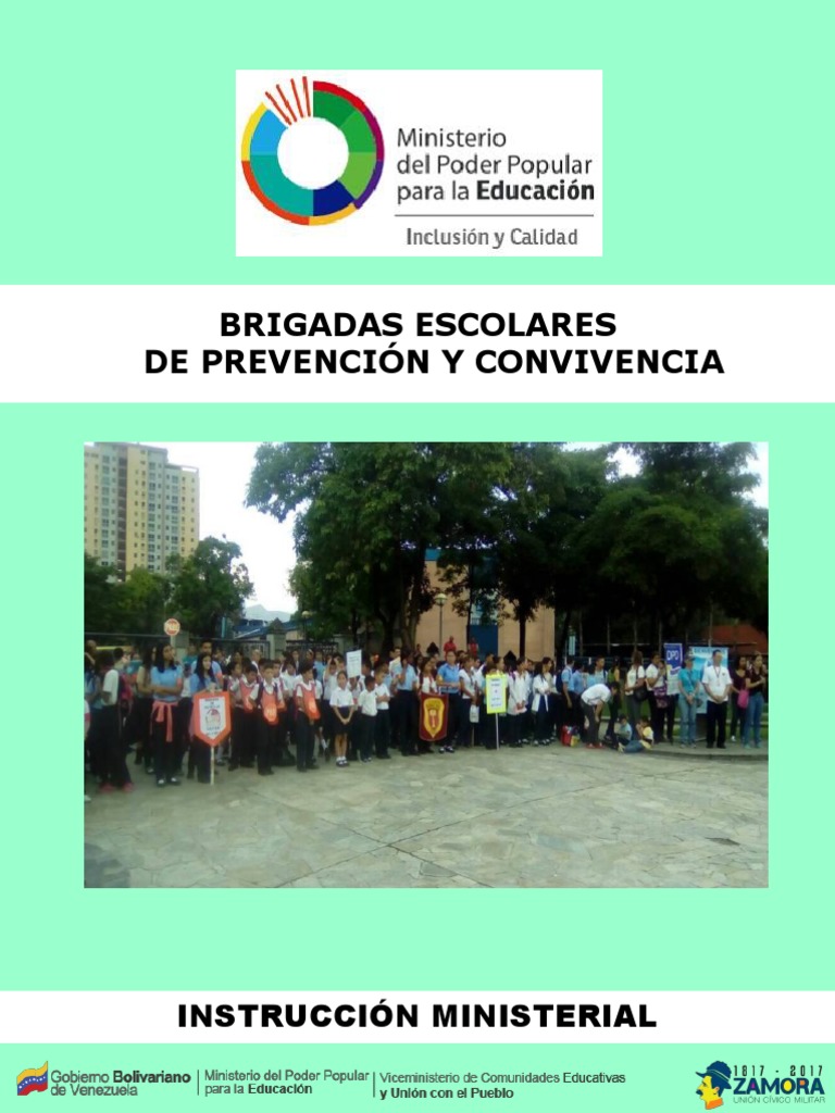 Brigadas Escolares | PDF | Institución | Primeros auxilios