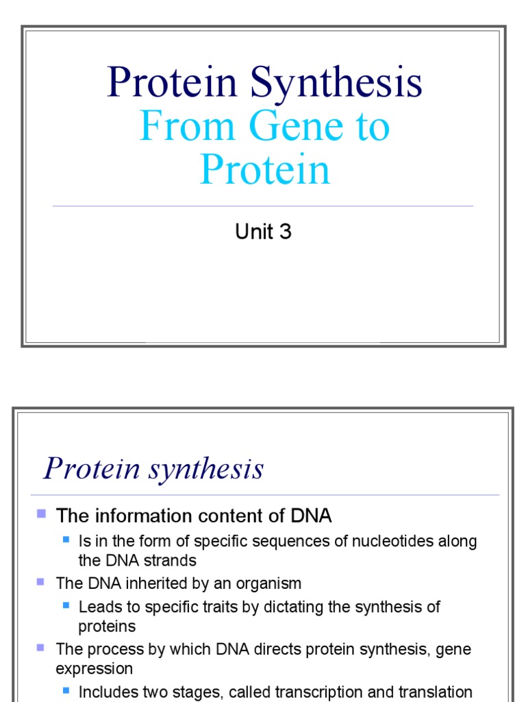 Protein Synthesis - Transcription and Translation | Download Free PDF ...