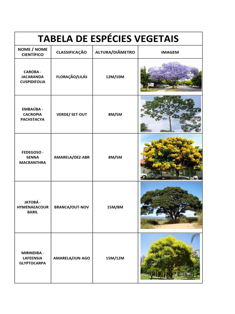 Tabela de Espécies Vegetais Brasileiras | PDF