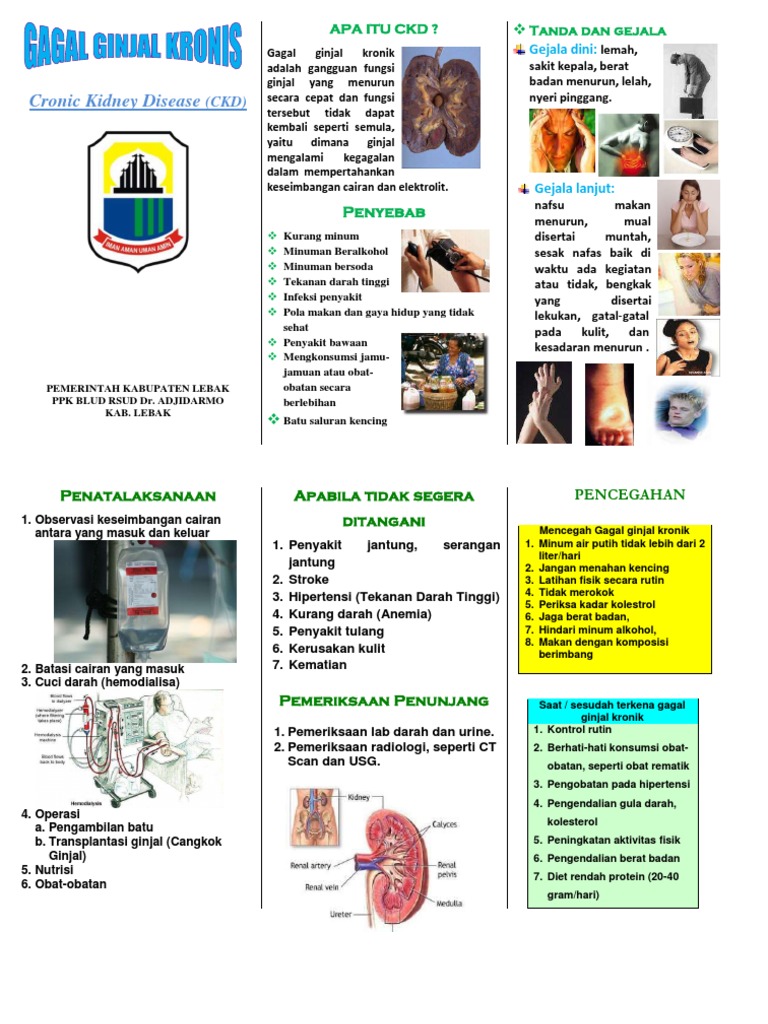 Leaflet CKD | PDF