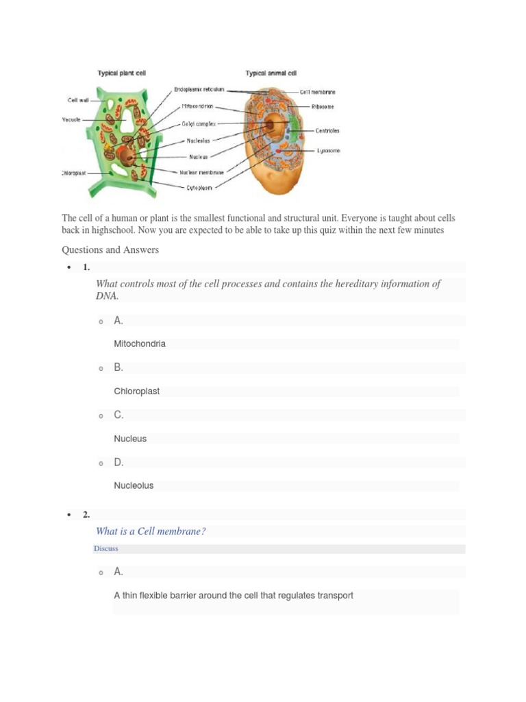 The Cell of A Human or Plant Is The Smallest Functional and Structural ...