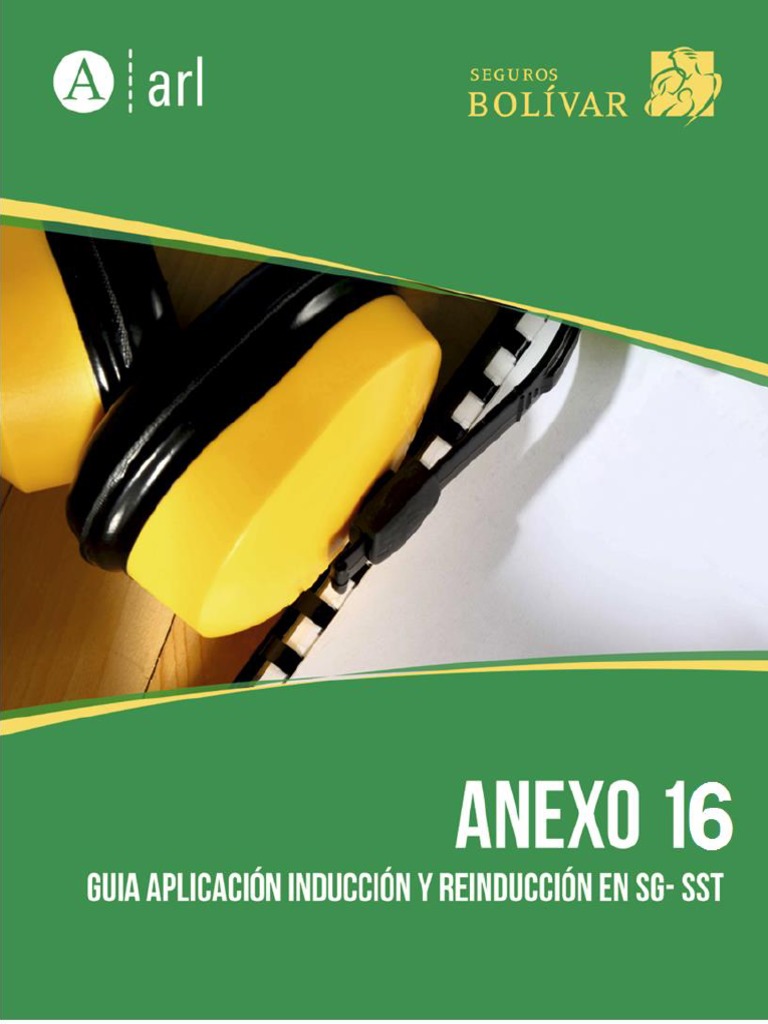 Anexo 16. Inducción y Reinducción en SST | PDF | Business