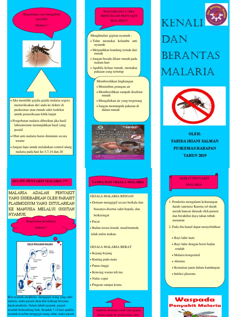 Leaflet Malaria Kakak Ida | PDF