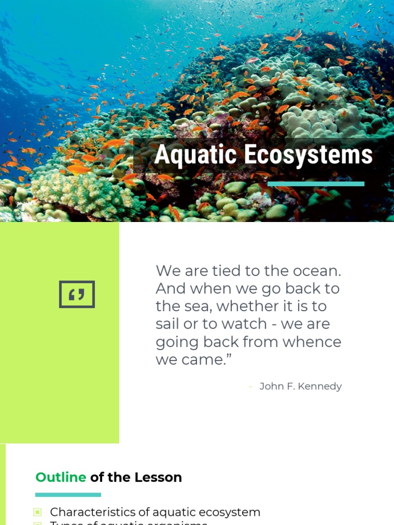 Aquatic Ecosystem | PDF | Aquatic Ecosystem | Coral Reef