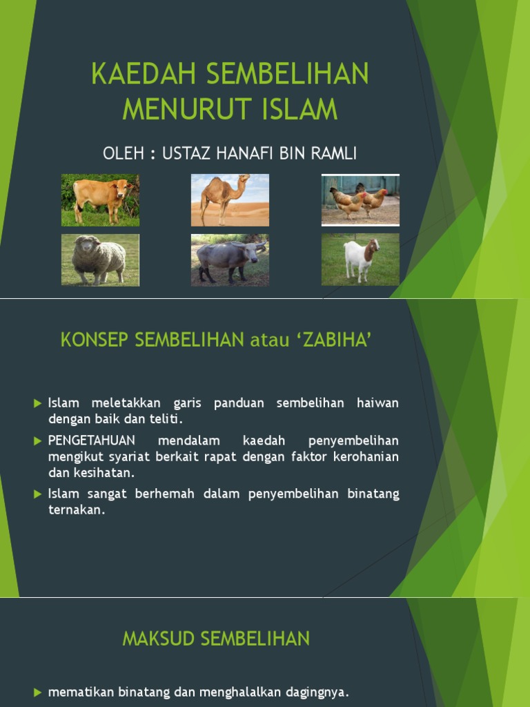 Kaedah Sembelihan Menurut Islam | PDF