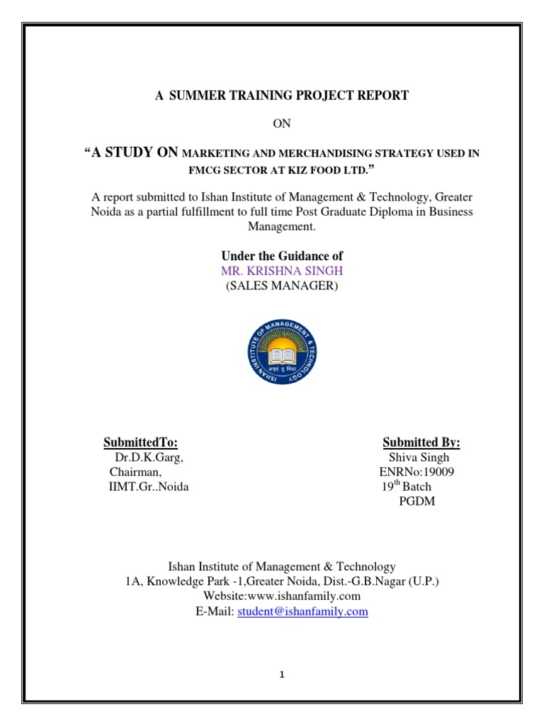 Summer Training Project | PDF | Market Segmentation | Pickling