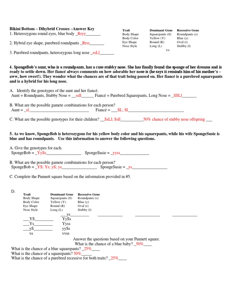 Dihybrid Cross Worksheet Spongebob