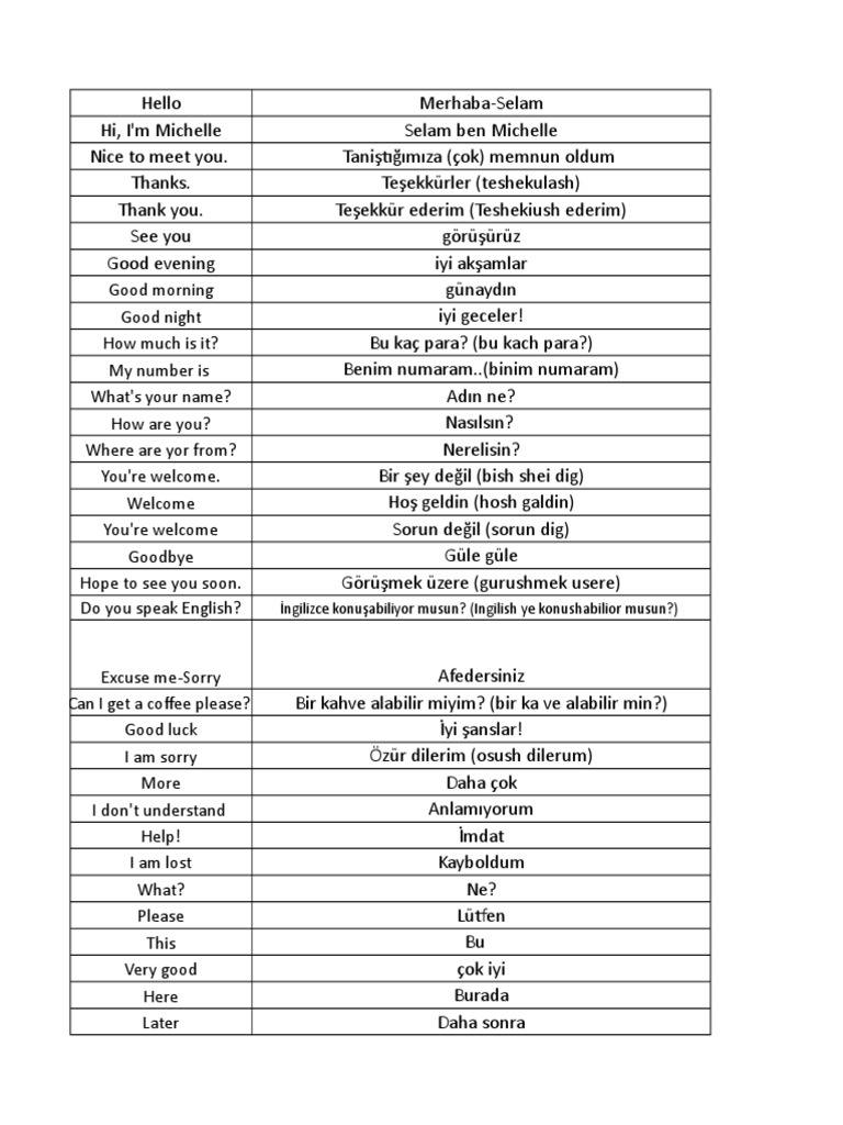 Basic Turkish Words | PDF