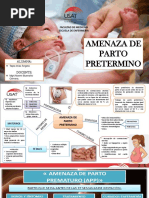 Maniobra de Ritgen | PDF | Parto | Reproducción