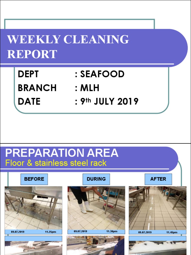 Weekly Cleaning Report | PDF | Knife | Melee Weapons