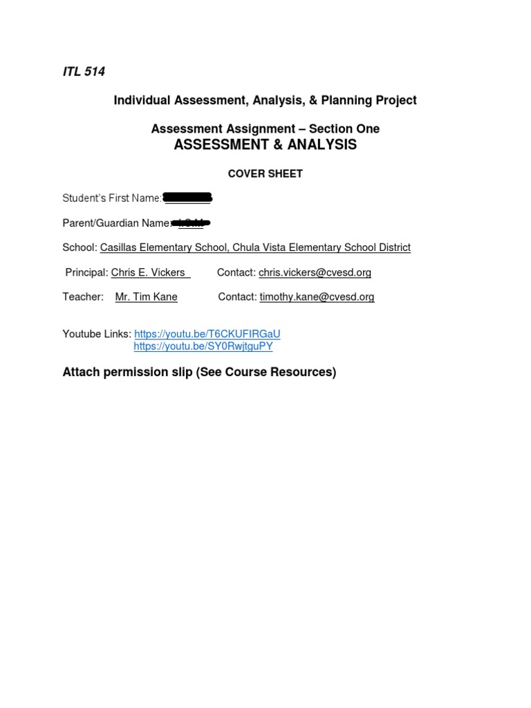 Individual Assessment Analysis Planning Part 1 514 | PDF | Phonics ...