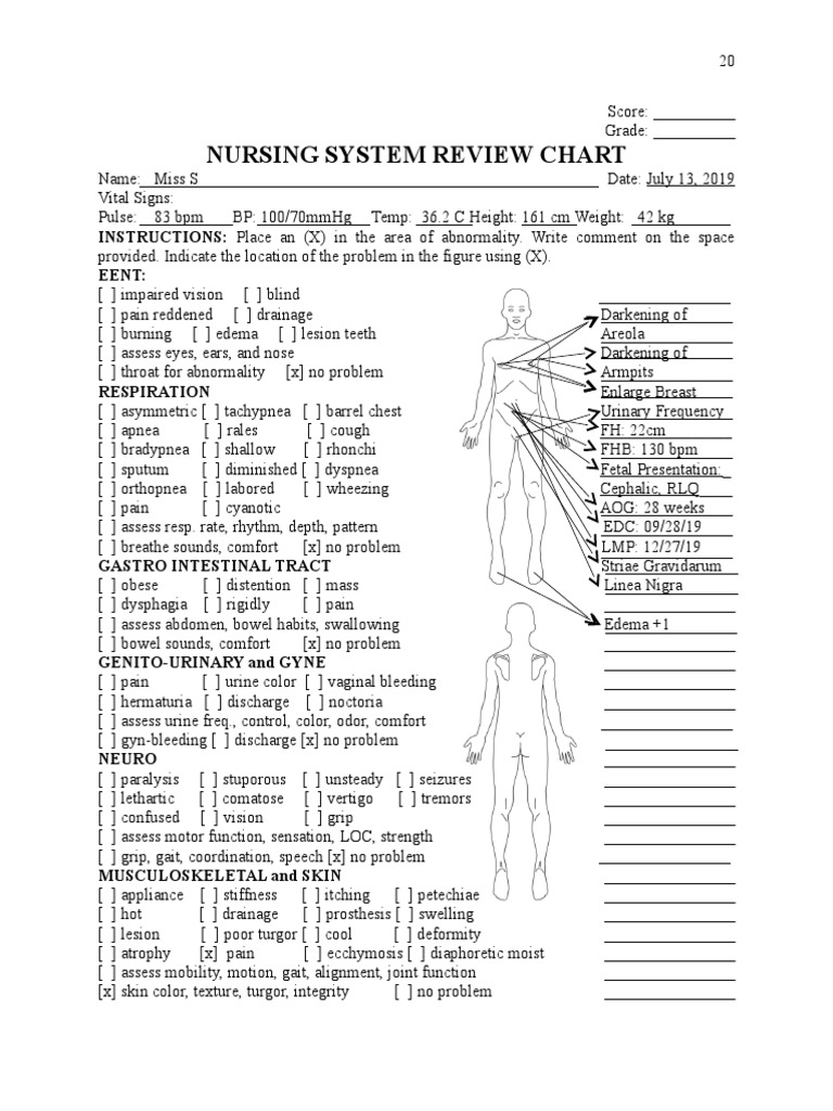 Nursing System Review Chart | PDF | Anemia | Iron
