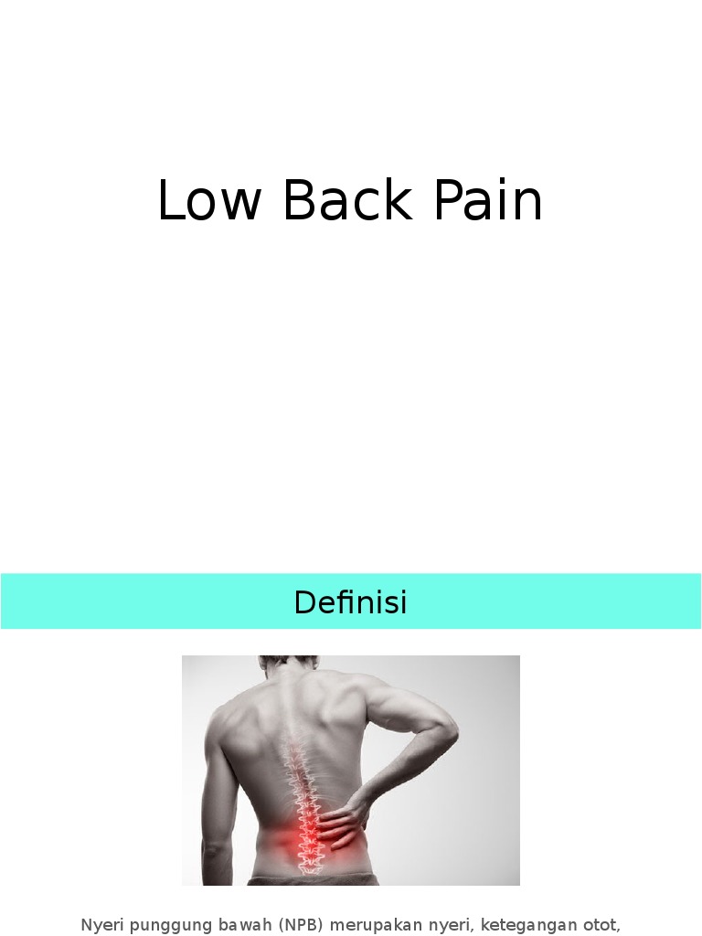 Materi Low Back Pain | PDF
