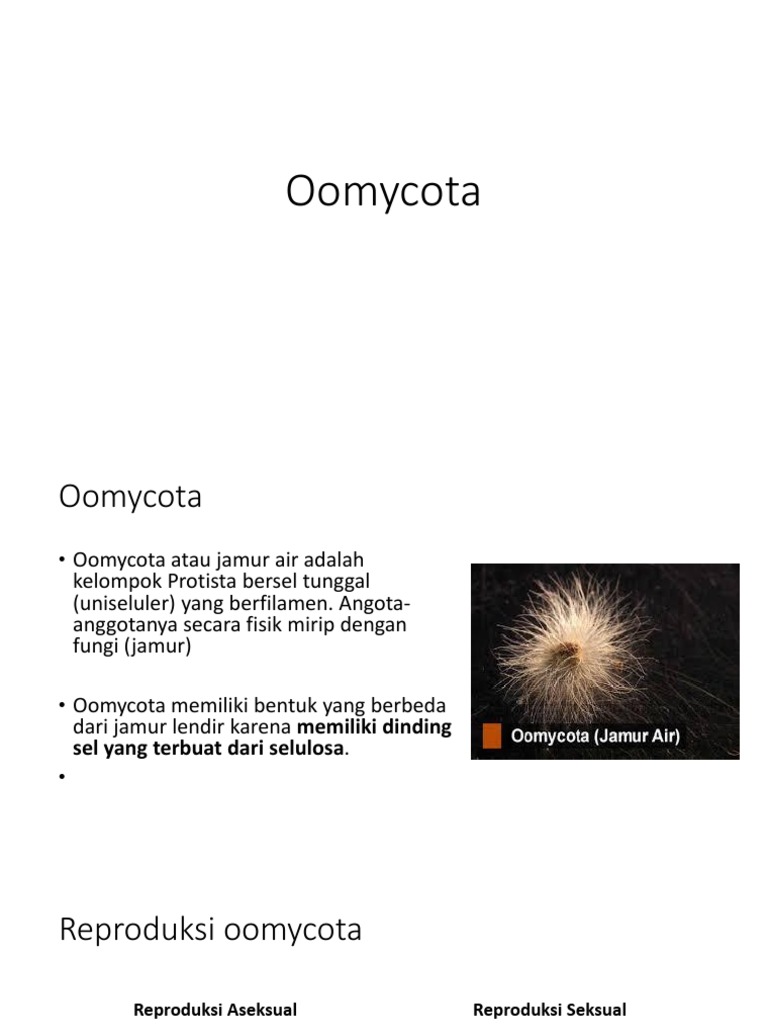 Oomycota | PDF | Griya & Taman