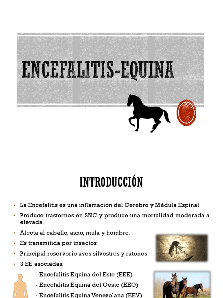 Encefalitis Equina | PDF | Virus | Inflamación