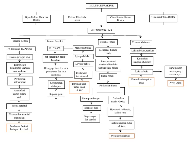 Pathway Multiple Trauma | PDF