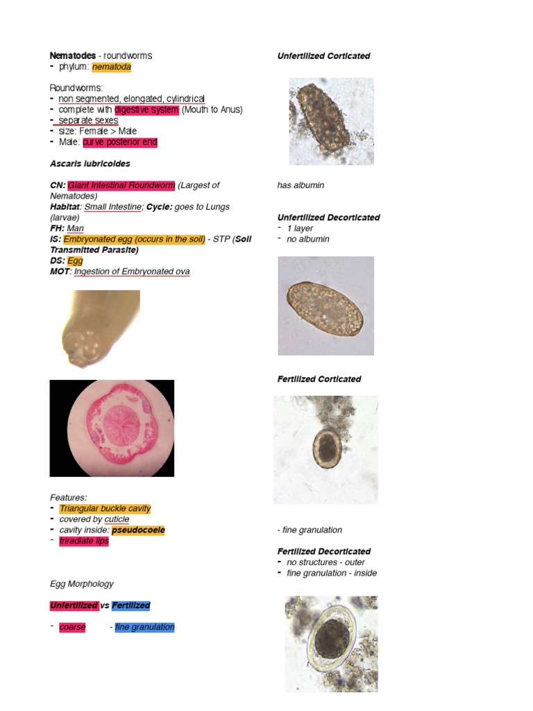 Nematodes Lab Reviewer PDF | PDF | Medical Specialties | Diseases And Disorders