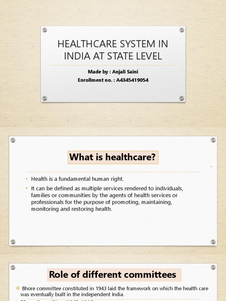Healthcare System at State Level | PDF | Health Economics | Health Care
