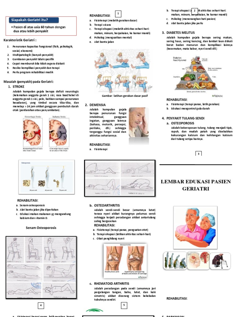 Leaflet Geriatri | PDF