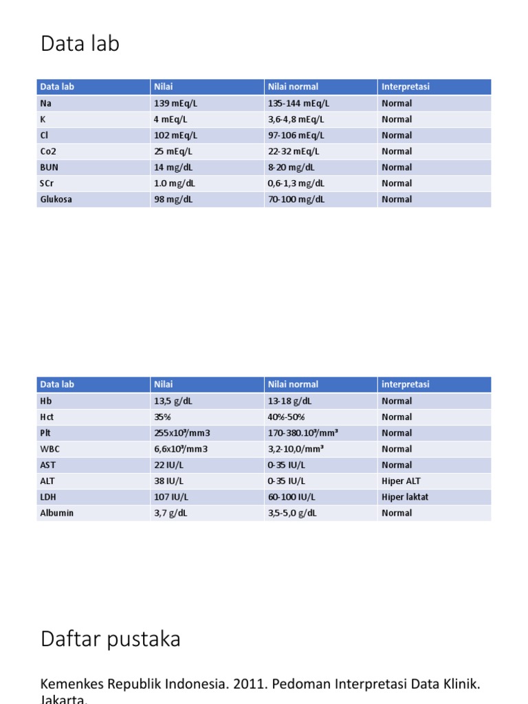 Data Lab Nilai Nilai Normal Interpretasi | PDF