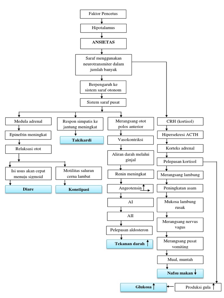Pathway Ansietas | PDF