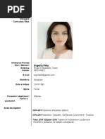 Shembull CV Shqip 3 | PDF