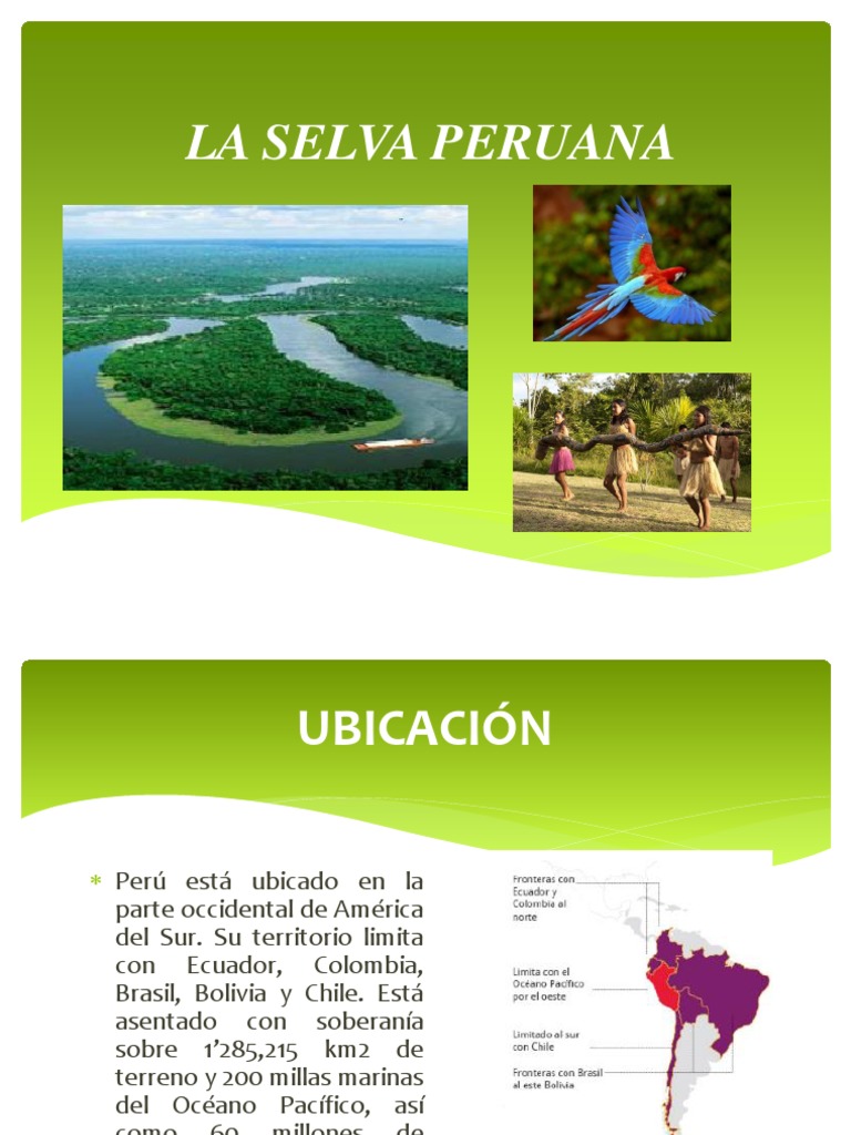 Ubicación de la Selva Peruana | PDF