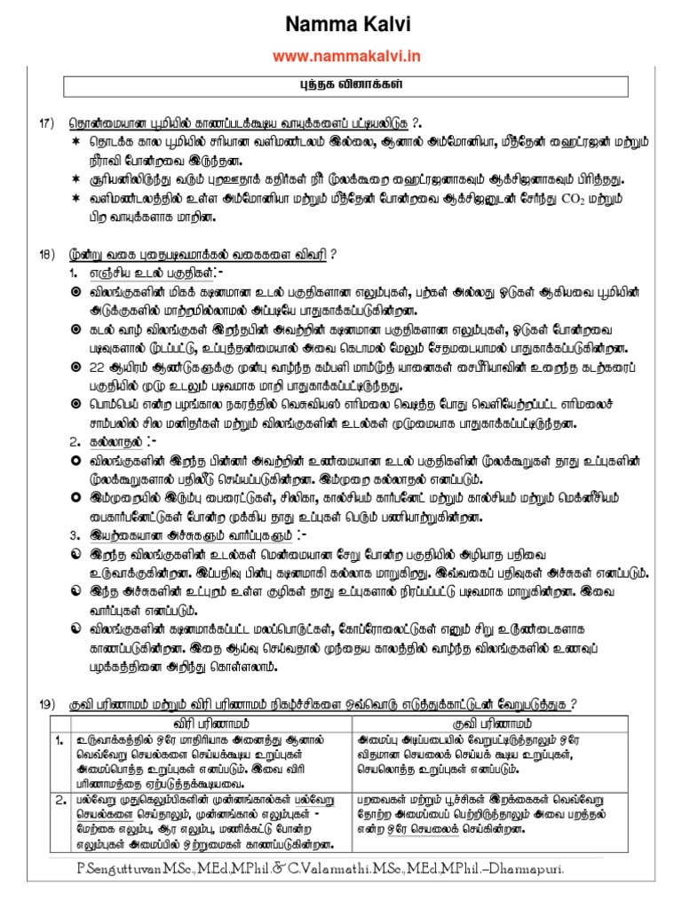 Namma Kalvi 12th Bio-Zoology Chapter 6 Study Material TM 215141 | PDF | Business