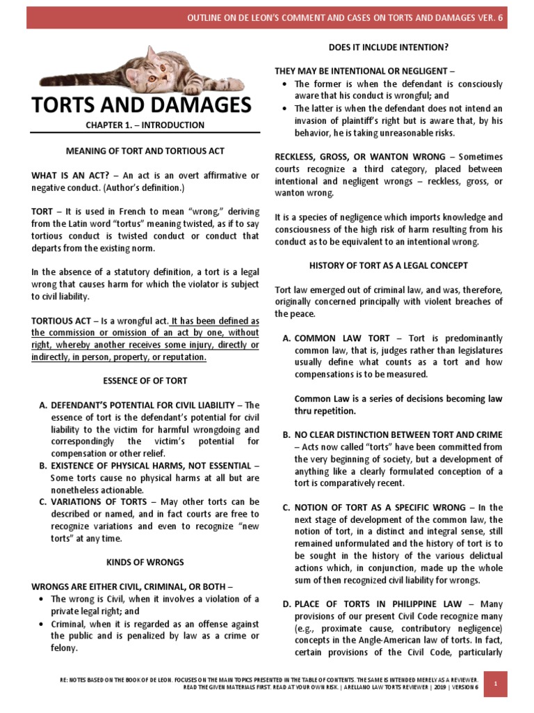 2019 Torts Reviewer Ver. 6 | PDF | Tort | Damages