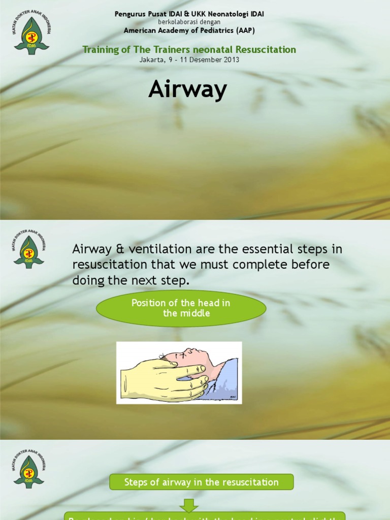 Airway: Training of The Trainers Neonatal Resuscitation | PDF
