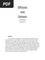 osmosis_red_onion_cells | PDF | Osmosis | Biology