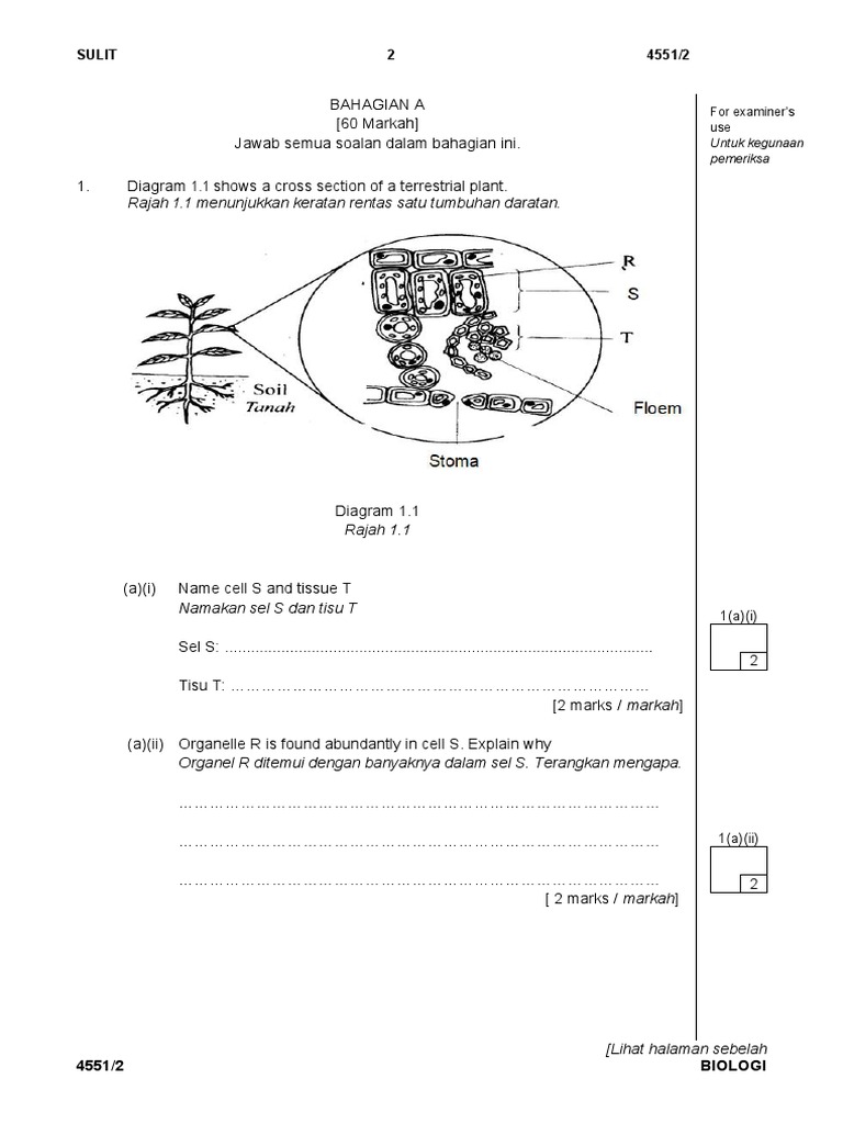 Bio Paper 2 PC 2019 | PDF