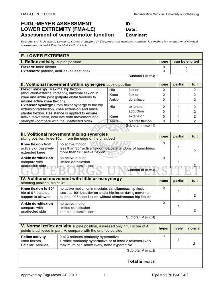 Fma Lower | PDF | Anatomical Terms Of Motion | Human Leg