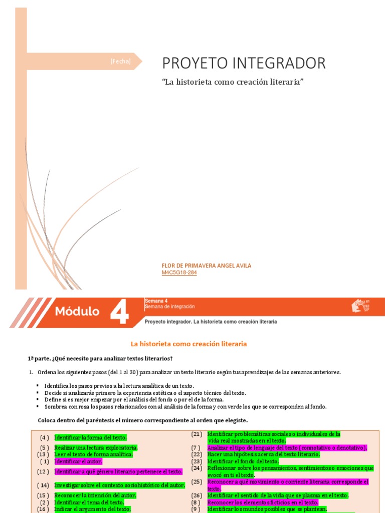 Proyecto Integrador | PDF | Cómics | Autor