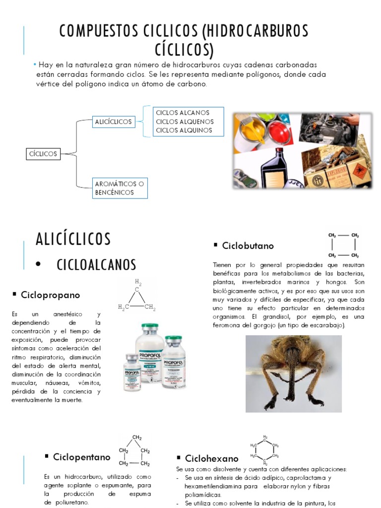 Compuestos Ciclicos (Hidrocarburos Cíclicos): Alicíclicos Ciclos ...