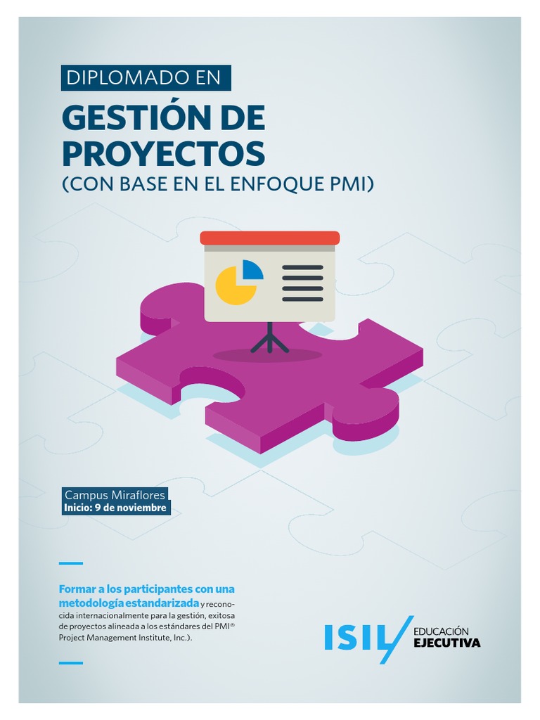 D Gestion de Proyectos Con Enfoque Pmi | PDF | Gestión de proyectos | Ingeniería