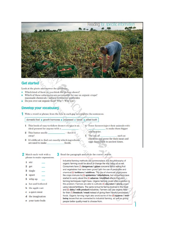 Reading For Specific Information | PDF