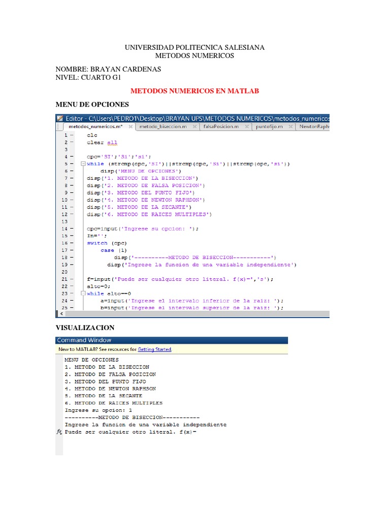 Metodos Numericos en Matlab | PDF | Análisis | Matemáticas Aplicadas