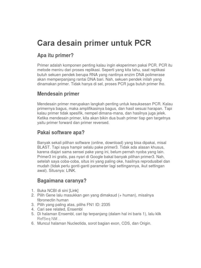 Cara Desain Primer Untuk | PDF