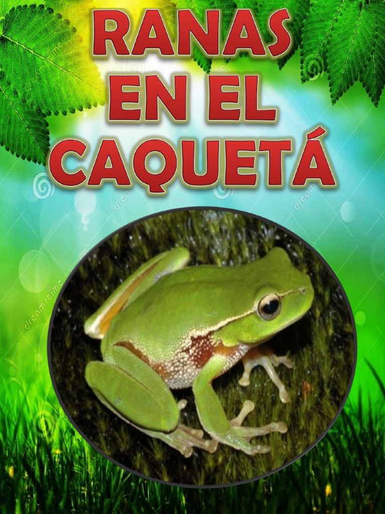 Libro Ranas | PDF | Anfibio | Rana