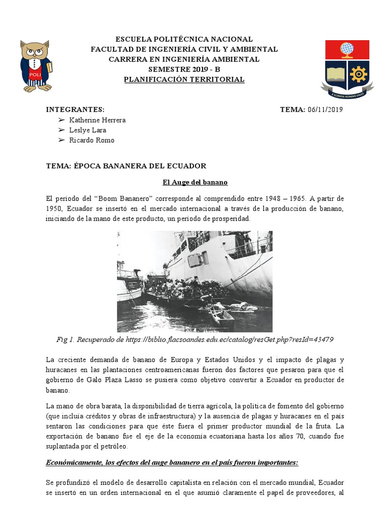 Auge Bananero en Ecuador: Impacto y Desarrollo | PDF | Ecuador ...