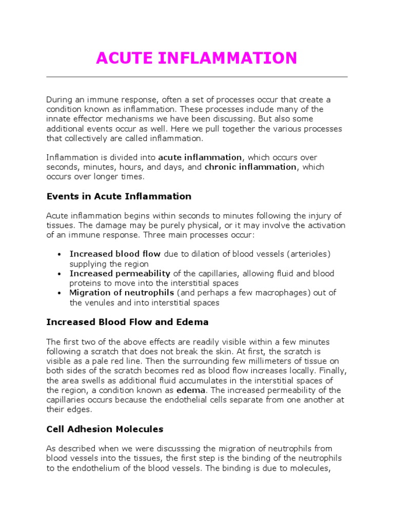 Events in Acute Inflammation | PDF | Inflammation | Endothelium