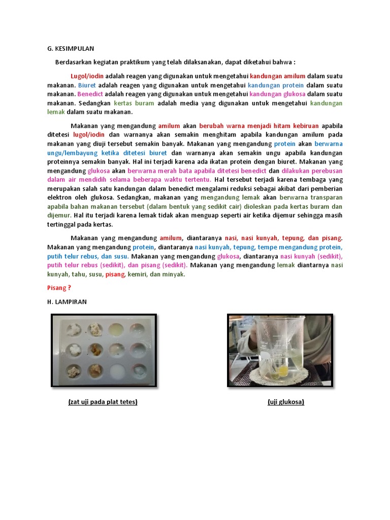 Laporan Praktikum Uji Makanan | PDF