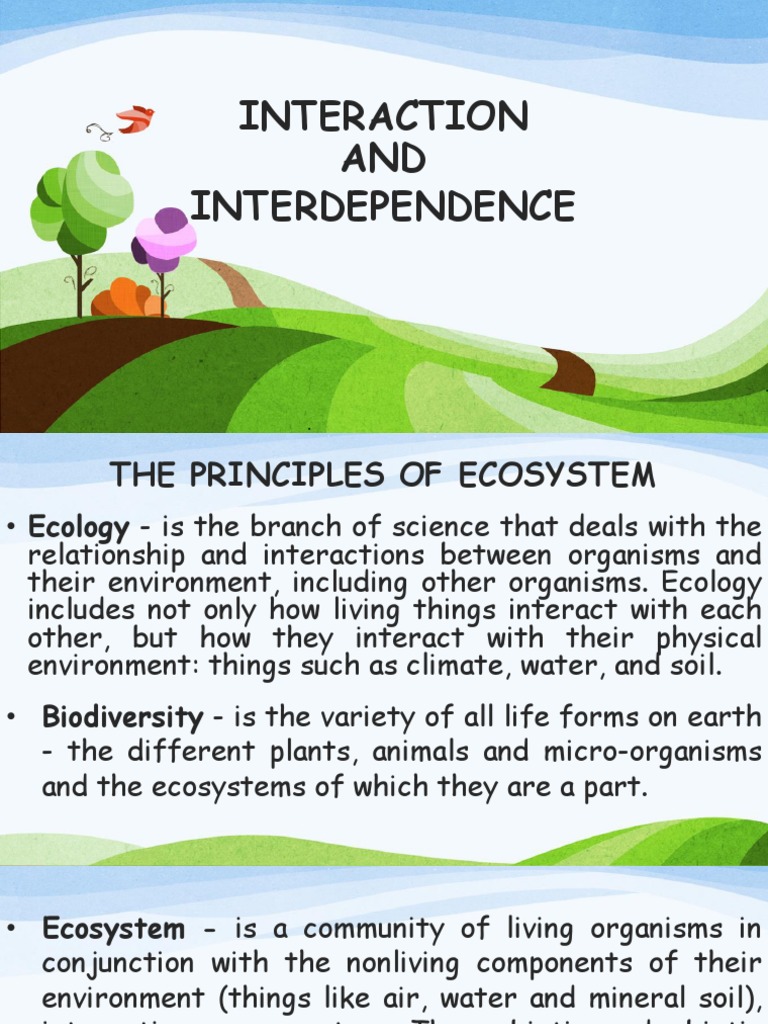 Understanding Ecosystem Interactions: The Interconnected Relationships ...