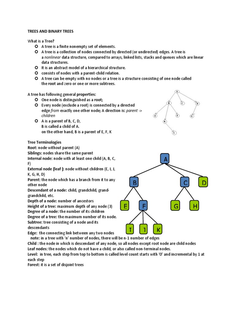 Trees and Binary Trees | PDF | Computer Programming | Theoretical Computer Science