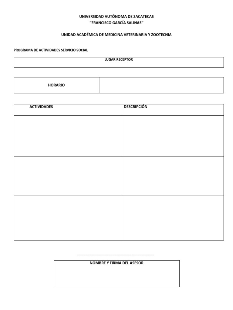 Formato Programa de Actividades | PDF