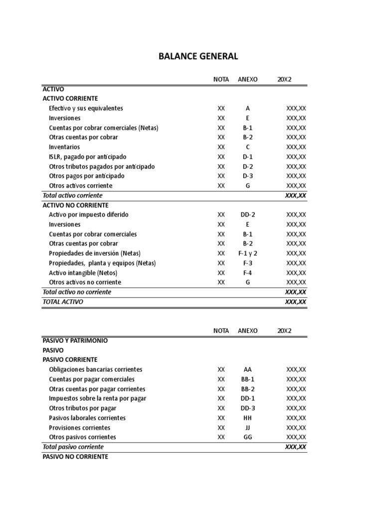 Ejemplo de Balance General 20X2 | PDF | Costo | Amortización (Negocio)