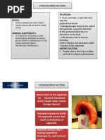 Pathophysiology of Appendicitis | PDF | Inflammation | Medicine