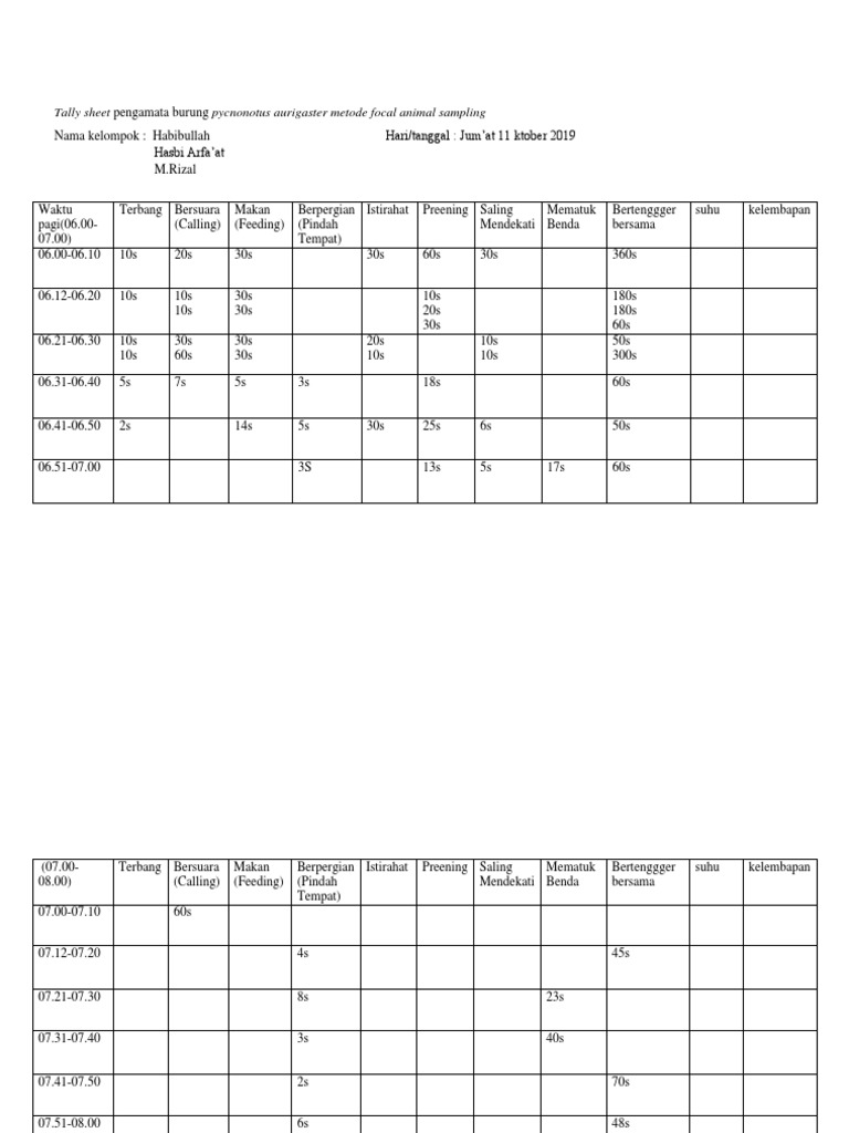 Tally Sheet Fix | PDF